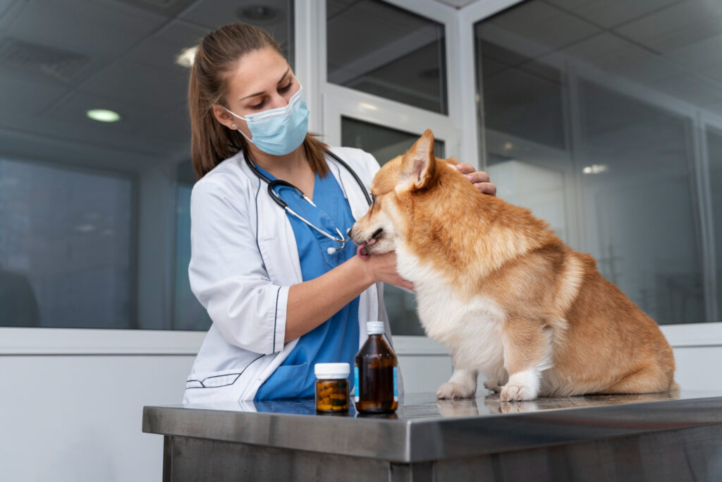 Preparation for veterinary emergencies: essential guidelines ...