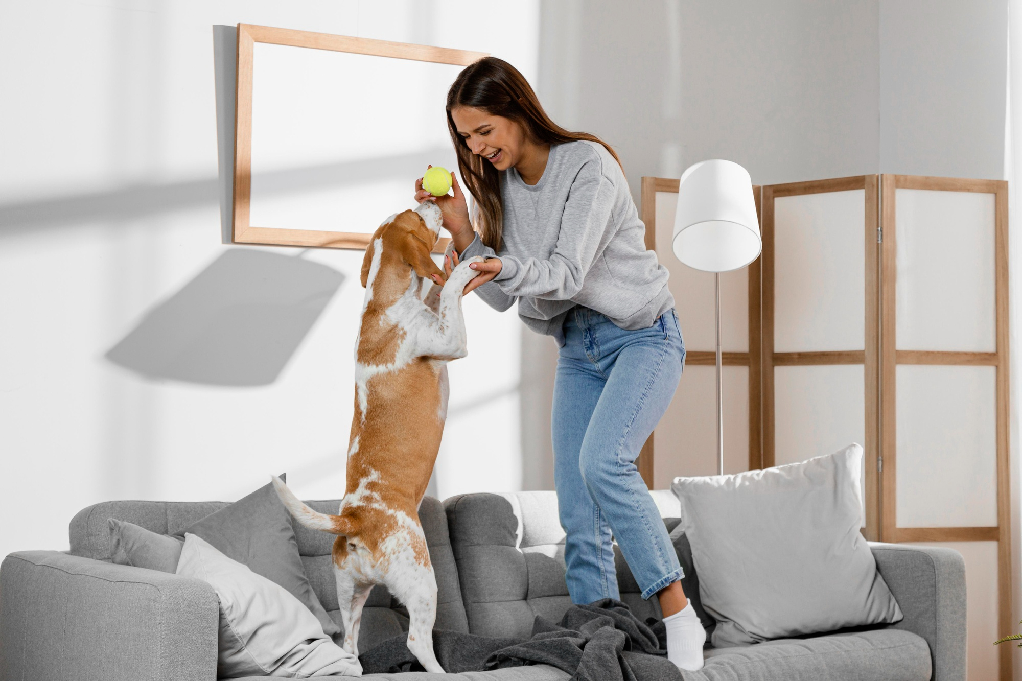 5 ideas to keep your pet active at home - All4petshospital
